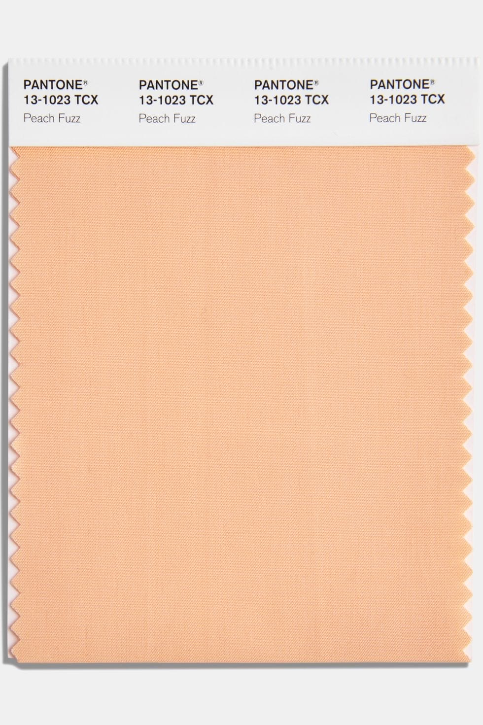 Meet Peach Fuzz 13 1023 The Pantone Color Of The Year 2024 Noble Ink